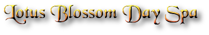 Lotus Blossom Day Spa